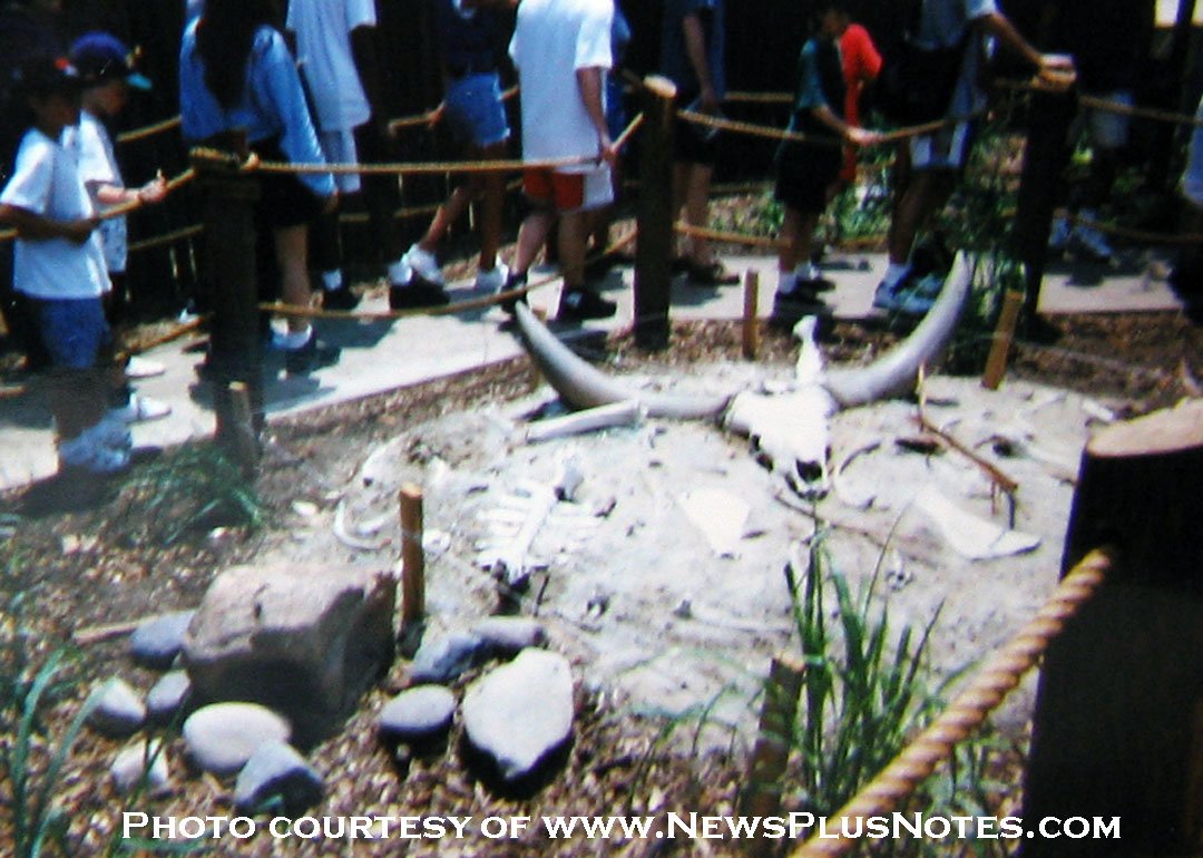 Skull Mountain at Six Flags Great Adventure